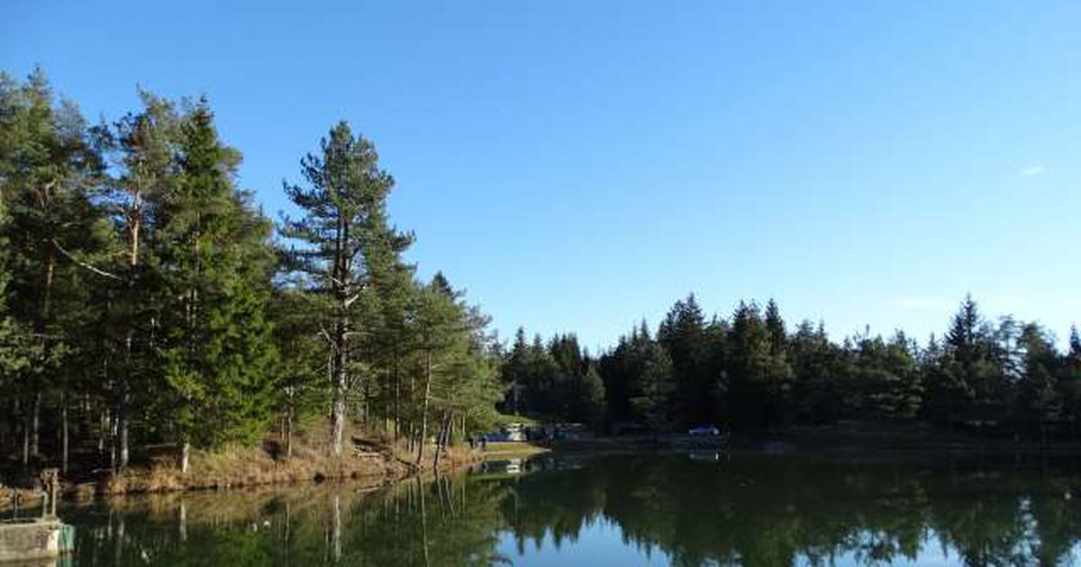 Jezero Rakitna: Kopanje odsvetovano zaradi fekalnih bakterij ...