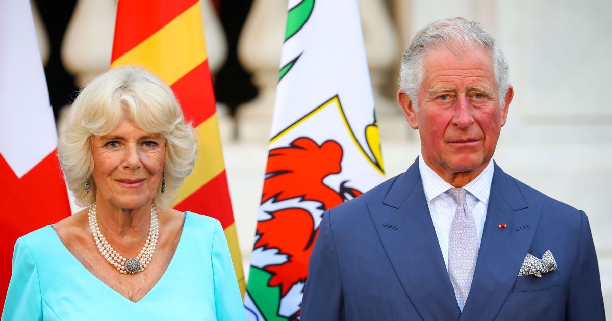 Princ Charles pozitiven na COVID-19: s soprogo Camillo je v ...