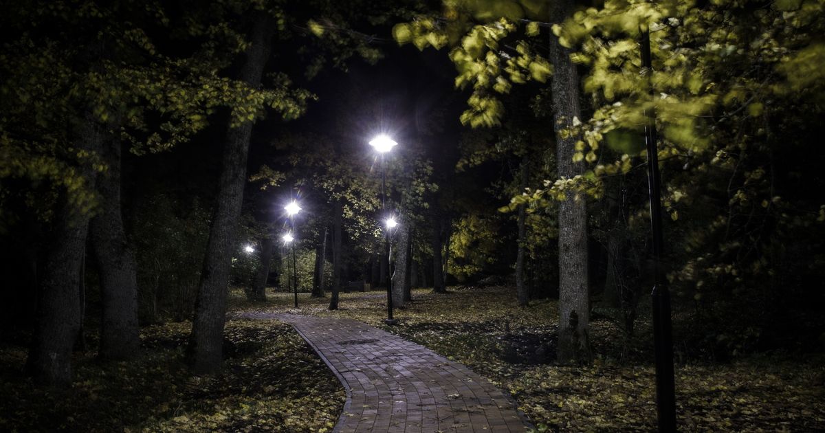 FOTO: Strokovnjaki odkrili POVSEM novo pasmo! Poglejte, to je mešanica ... FOTO: Strokovnjaki odkrili POVSEM novo pasmo! Poglejte, to je mešanica ...