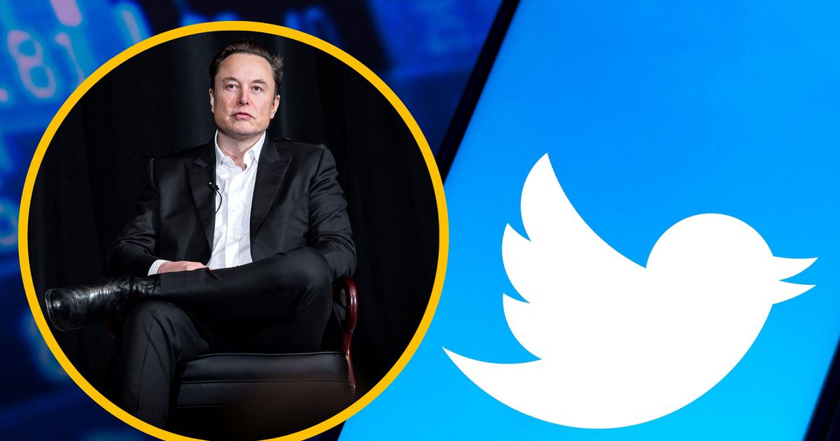 Hladen tuš za Elona Muska: upravni odbor Twitterja mu je serviral ...