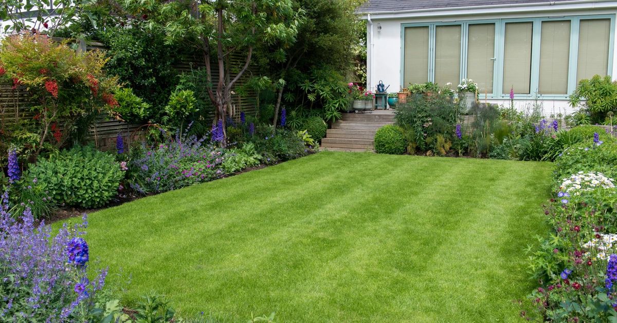 Ste vedeli, da trata na vašem dvorišču lahko škodi okolju ...