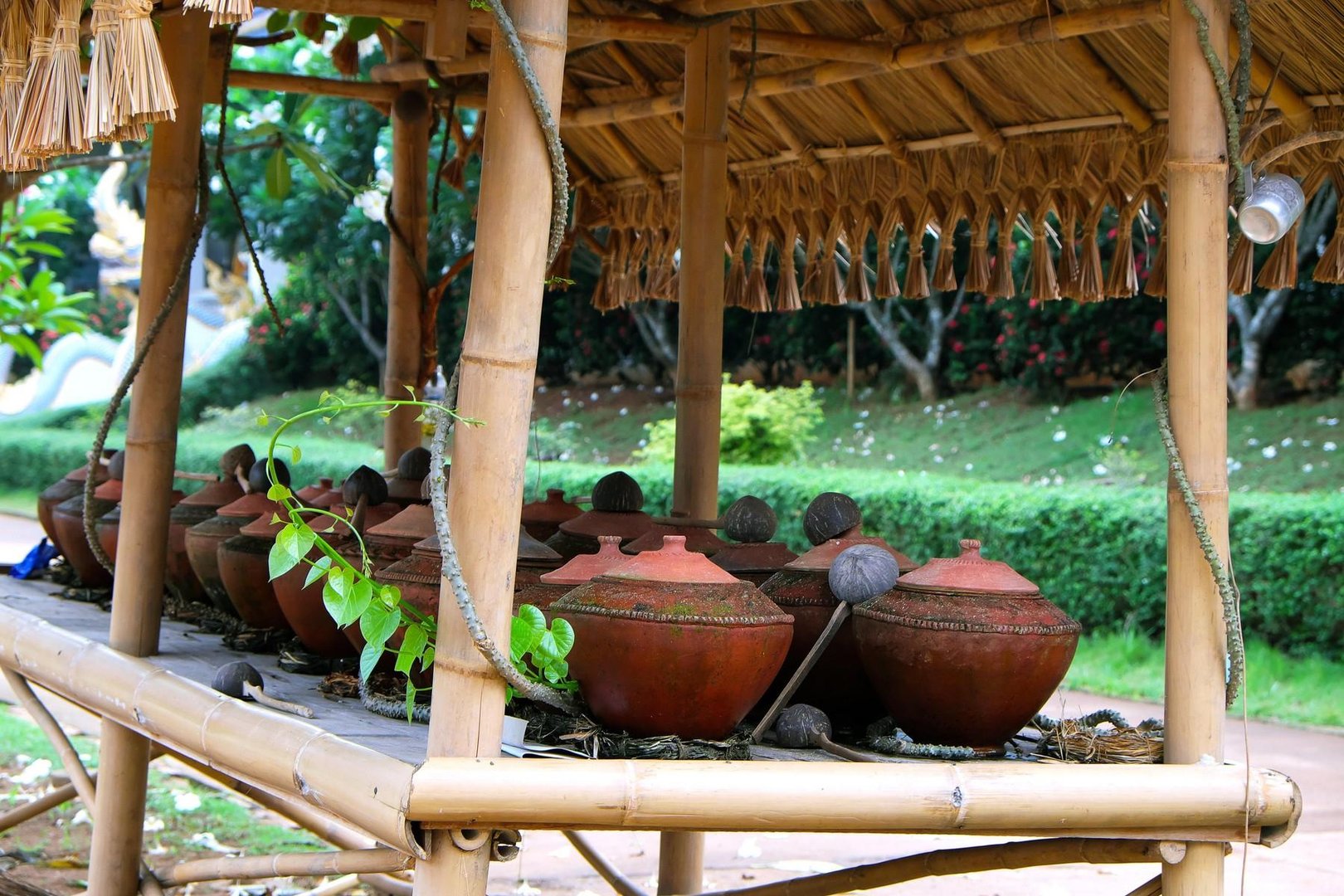 Najbolj bizarne pijače sveta: od mišjega vina do gau jala in ...