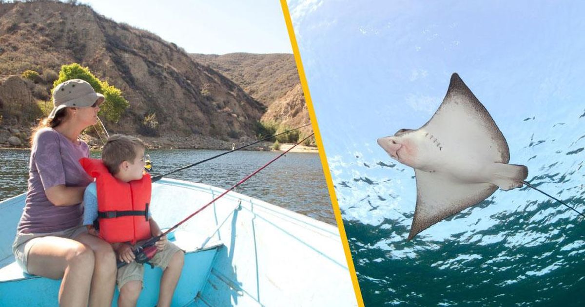 Orjaški skat skočil na čoln, potem pa se je zgodilo še nekaj povsem ...