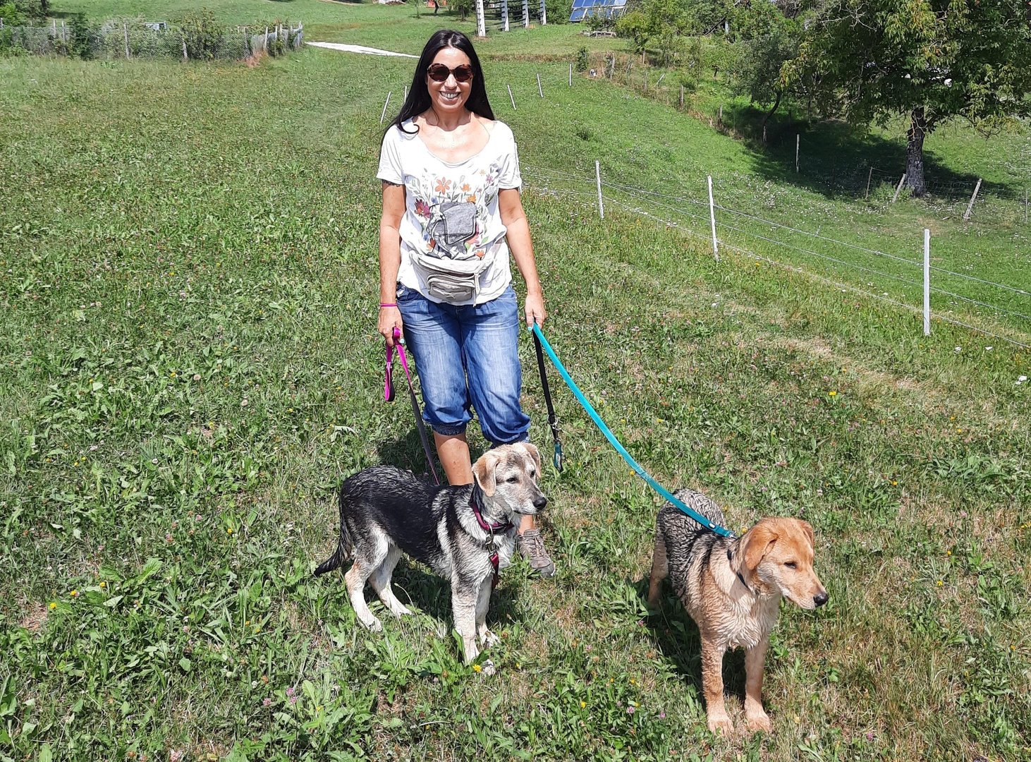 Z Janjo Dermastja o žalovanju za hišnim ljubljenčkom: ʺPredelajte ...