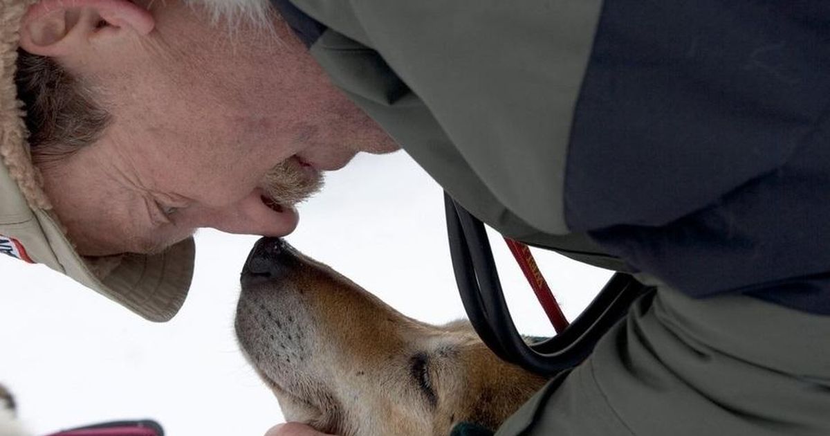 Zbil psa na povodcu in pobegnil: ste ga videli? - Živali - Metropolitan.si