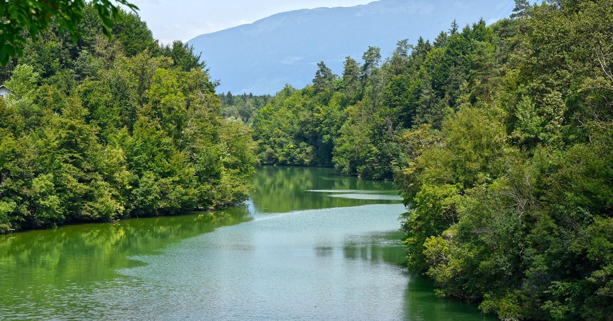 Grozljivo: Ljubljančan v reki opazil negibno osebo - Kronika ...