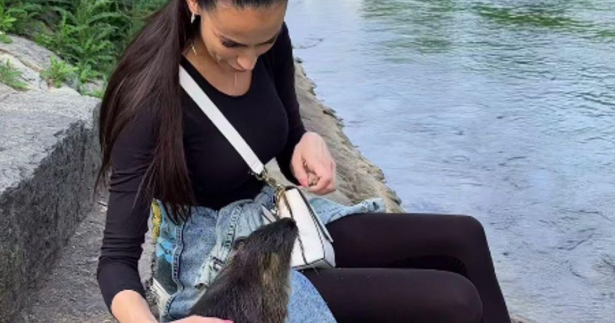 Tina Gaber ob Ljubljanici božala nutrije, zdaj ji grozi ... kazen ...