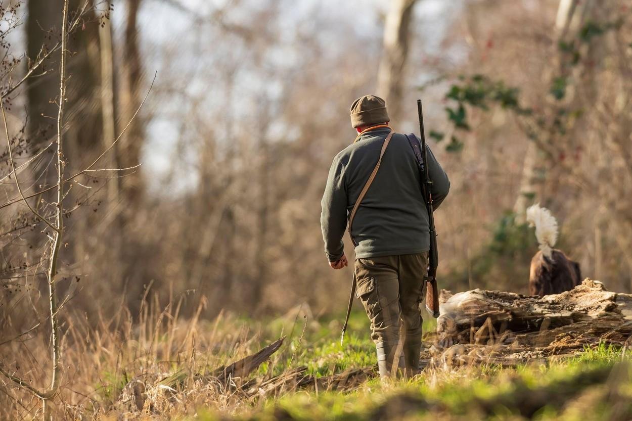 Masaker v naših gozdovih, tekla bo kri: ljudje nad odločitvijo ...