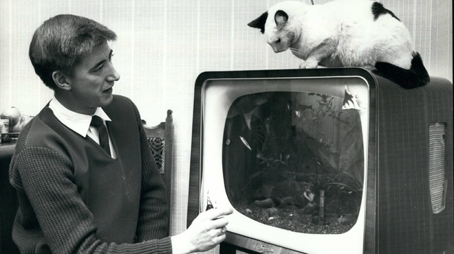 Slovenci že 65 let plačujemo za televizijski program: izvedeli smo, kdo ...