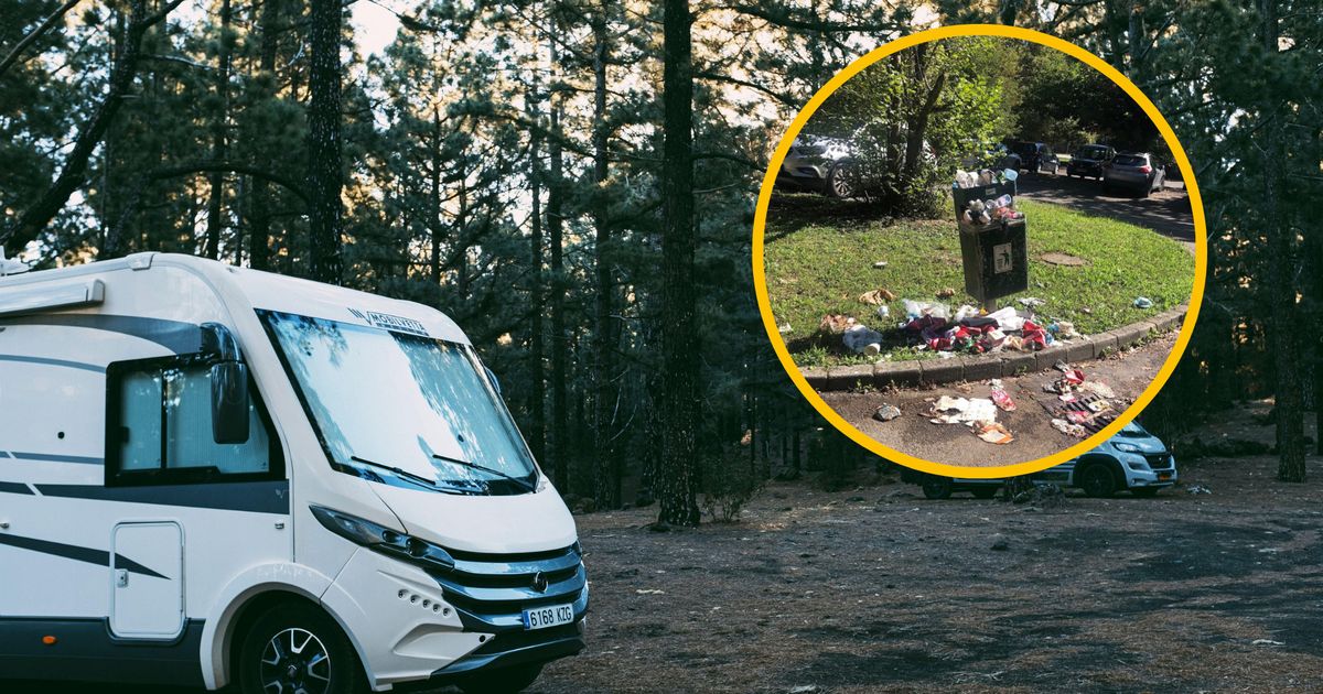 Ljubljansko območje, kjer so tuji turisti našli prostor za kampiranje na črno (kaj pravi občina ...