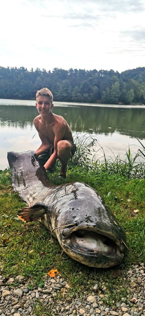 FOTO: Kakšen ulov! Oče in sin iz Šmartinskega jezera potegnila ...
