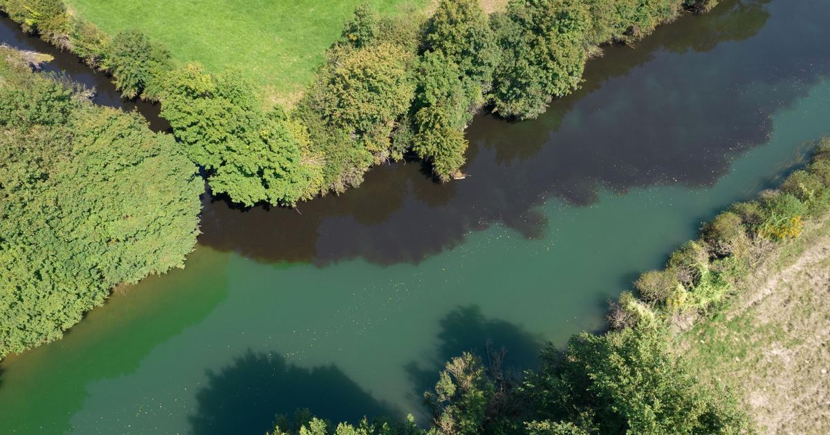 Znano je, kaj je krivo za onesnaženje na Ljubljanskem barju - Slovenija ... Znano je, kaj je krivo za onesnaženje na Ljubljanskem barju - Slovenija ...