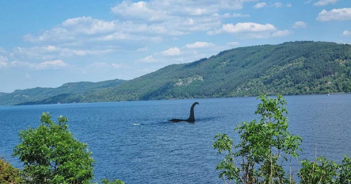 Bo dolgoletna skrivnost končno razkrita? Največji lov na znano pošast ...