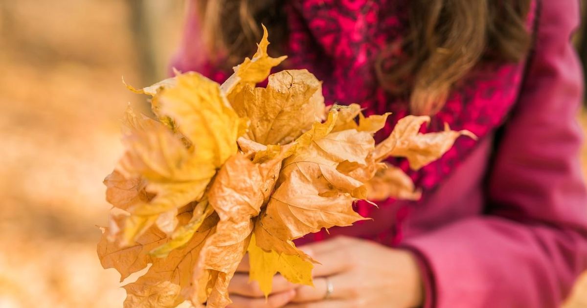 Čudež narave: ste vedeli, zakaj listje jeseni spremeni barvo ...