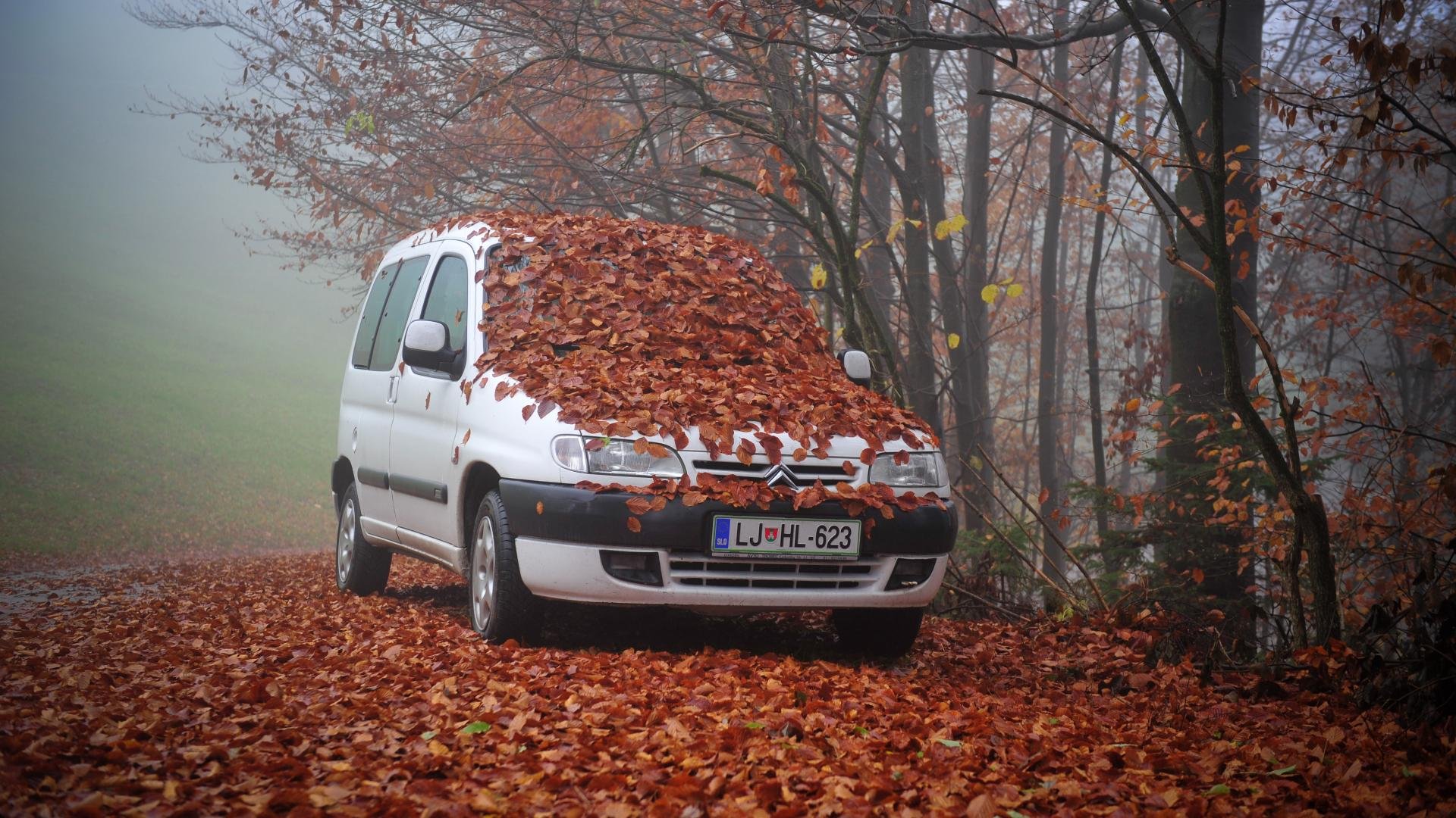 Ste pripravili svoj avtomobil na jesensko vreme? S temi 6 triki lahko ...
