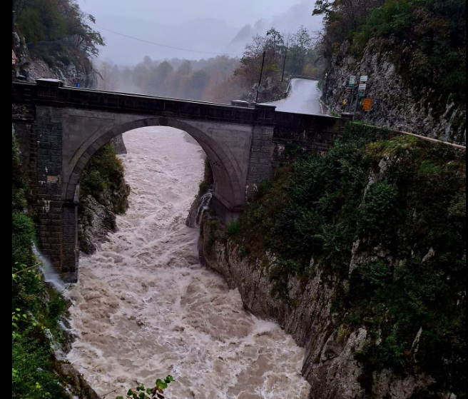 Žalosten pogled na našo smaragdno lepotico: "V teh dneh nikar na obisk ...
