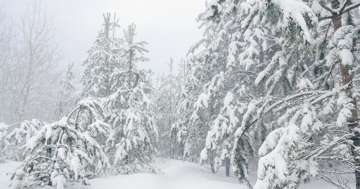 Presenečenje: nekateri prebivalci Slovenije so se zbudili v belo jutro ...