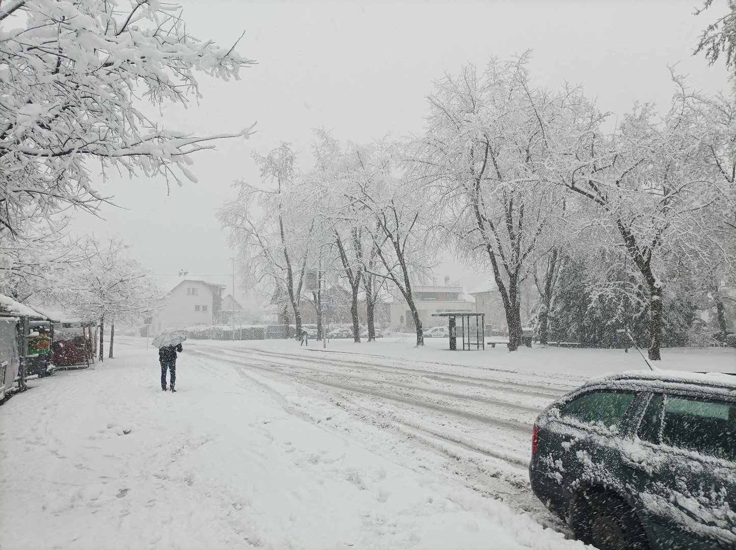 Sneg januarja – spektakel, o katerem se poroča cel teden - Metropolitan.si