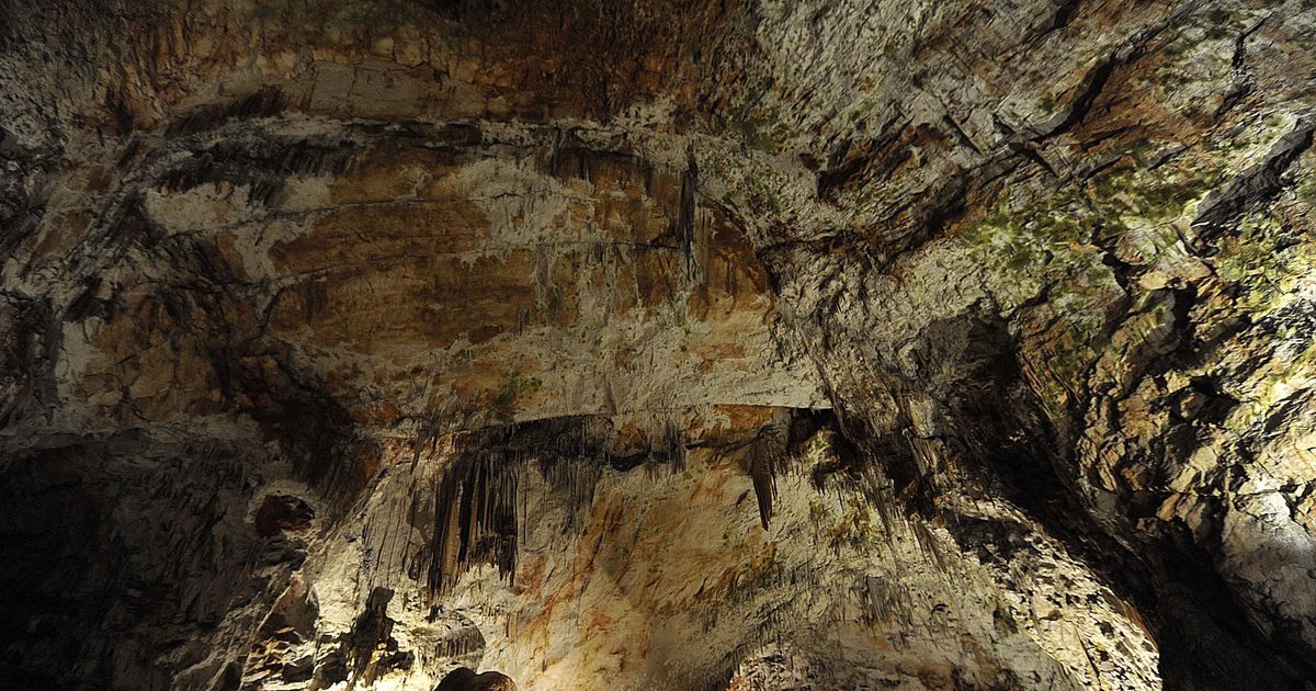 Skrb vzbujajoče onesnaženje v Postojni, ogrožena tudi Postojnska jama ...