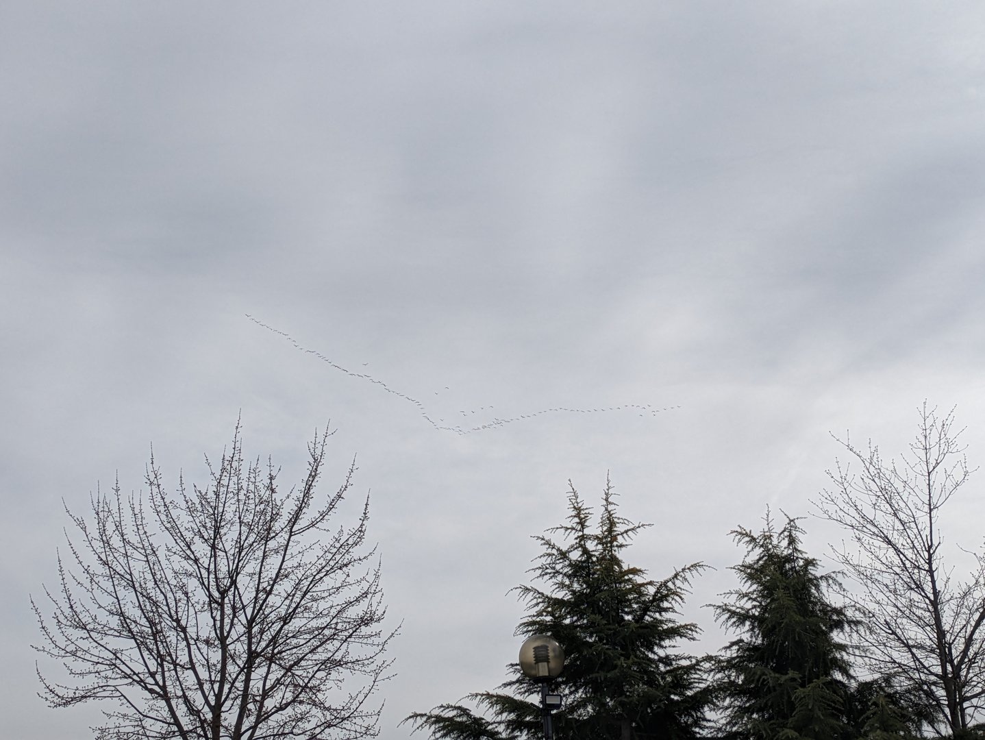 Poglejte v nebo: ste morda opazili ta čudovit prizor? - Metropolitan.si