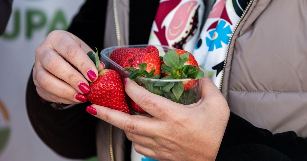 Kako veste, da so jagode res domače? S pomočjo tega trika, ki je čisto preprost, a ga mnogi ne ...