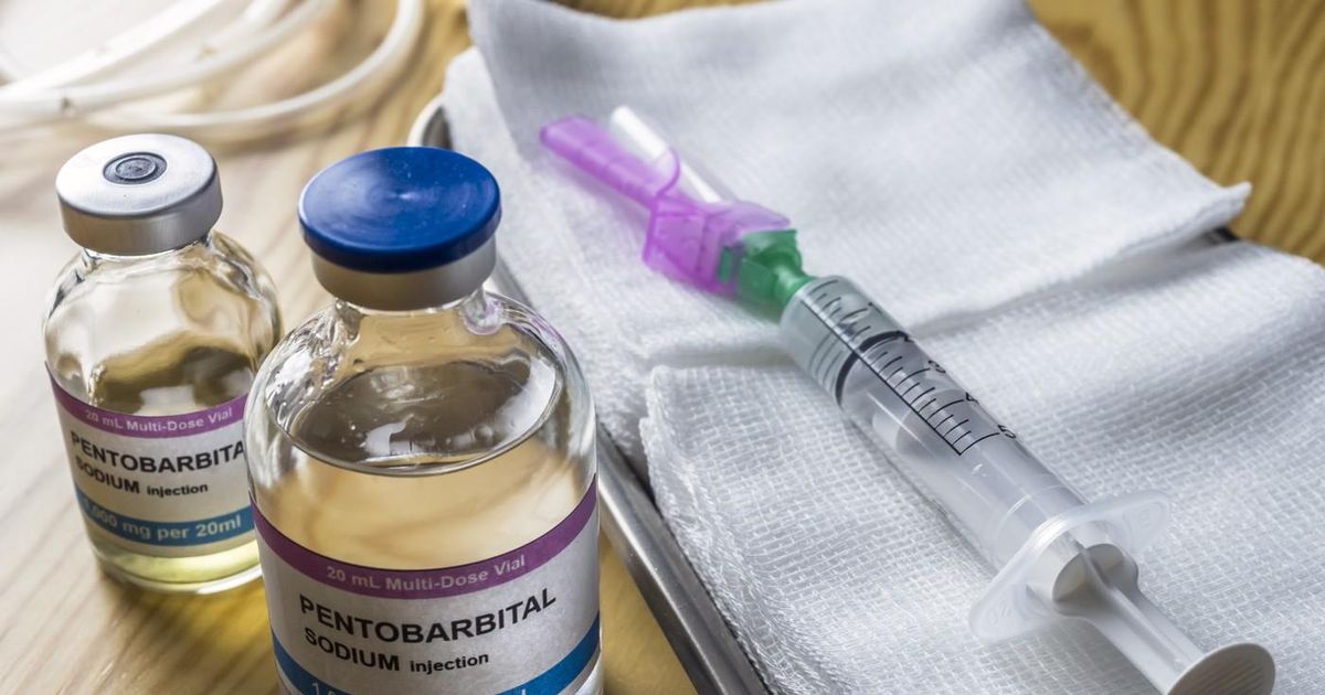 34-letna Jolanda si želi umreti: evtanazirali jo bodo na njen rojstni ...