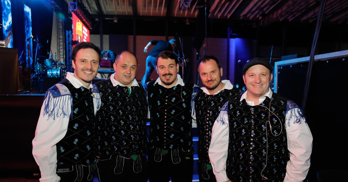 Vesela novica v ansamblu Modrijani: spet bodo zibali - Trači ...