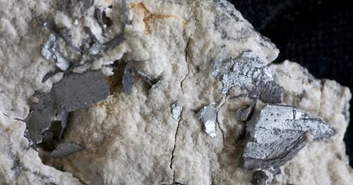 Kopali so in kopali, nato pa naleteli na revolucionarno odkritje: pod ...