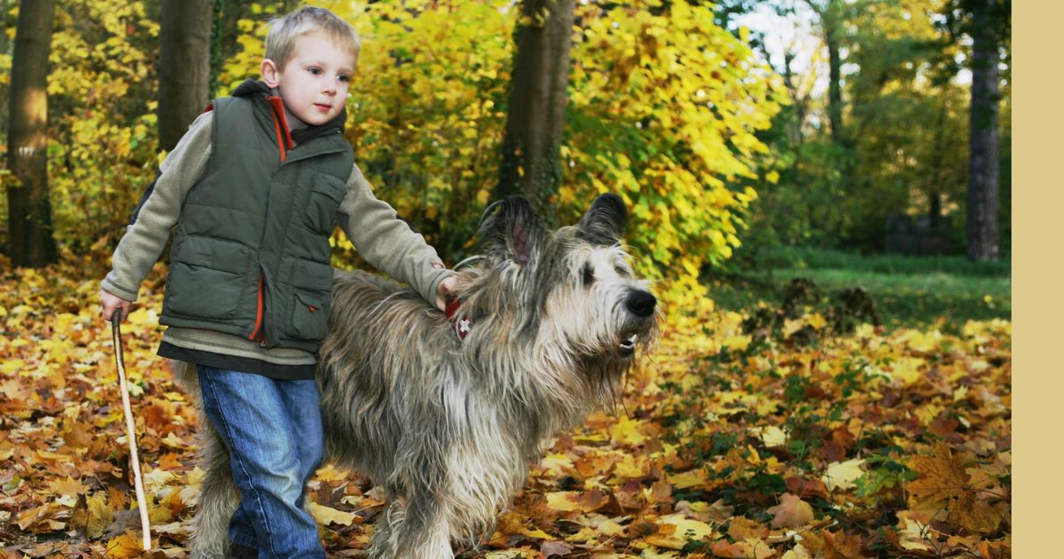 Priznani slovenski veterinar opozoril na nevarnosti, ki jih za psa ...