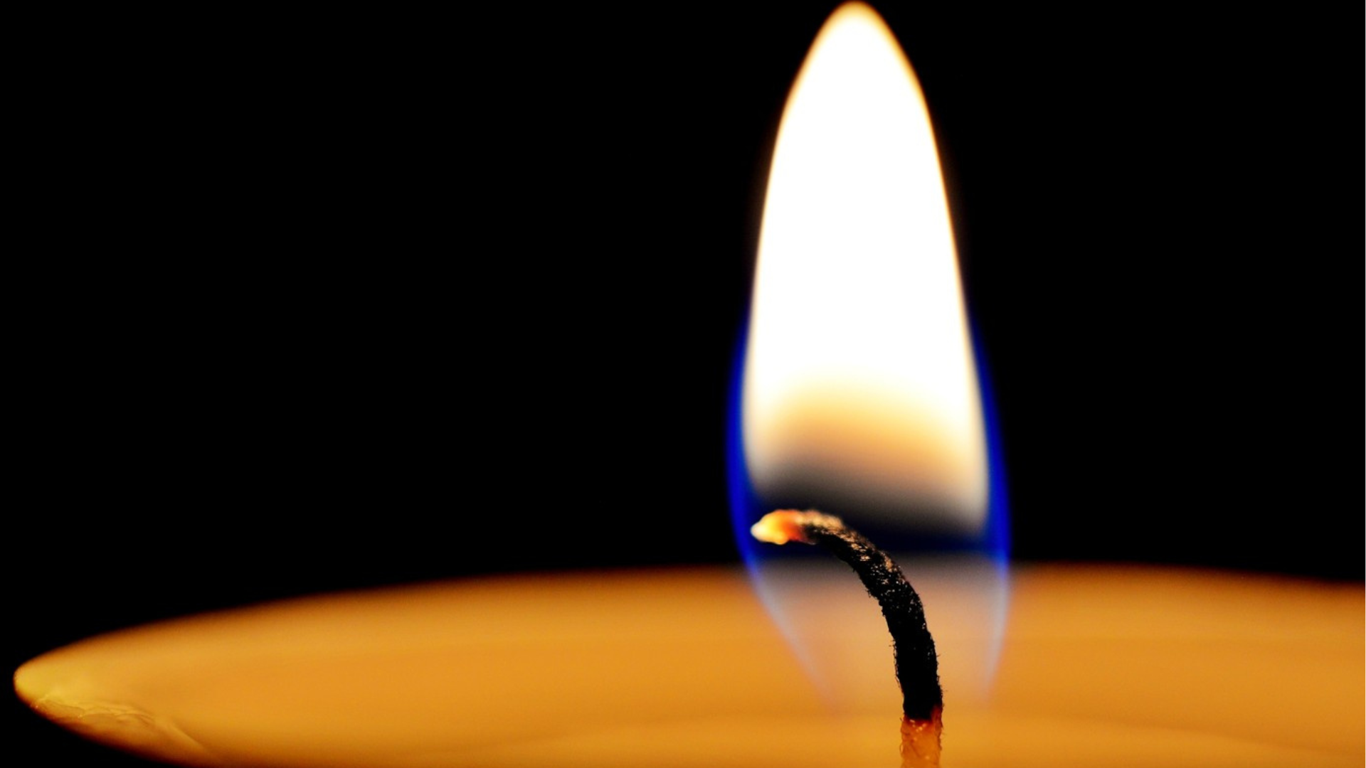 Umrl priznani slovenski prevajalec - Slovenija - Metropolitan.si