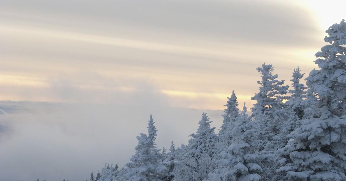 Sneg že zasnežil dele države: pripravite se, saj bo snežilo tudi v ...