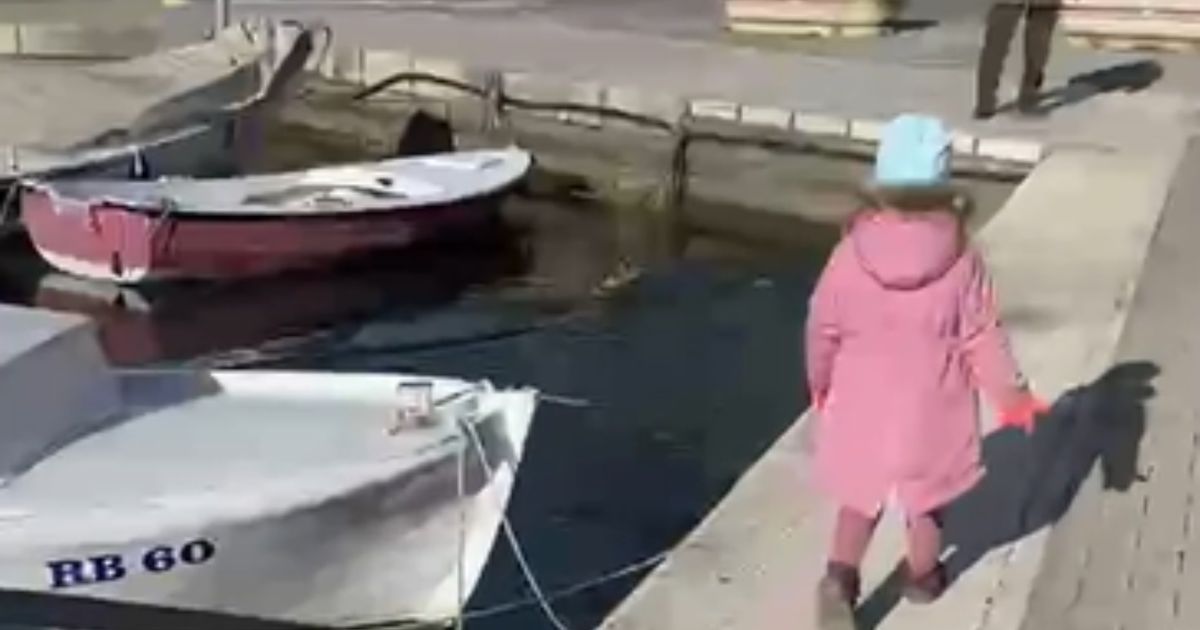 Na otoku Rab osupli in šokirani ob pogledu v vodo: v morju je plaval ...
