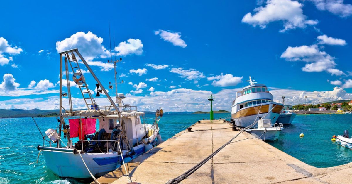 Vse gre k vragu?! V Jadranu plavajo ribe, ki so po kuhanju povsem ...