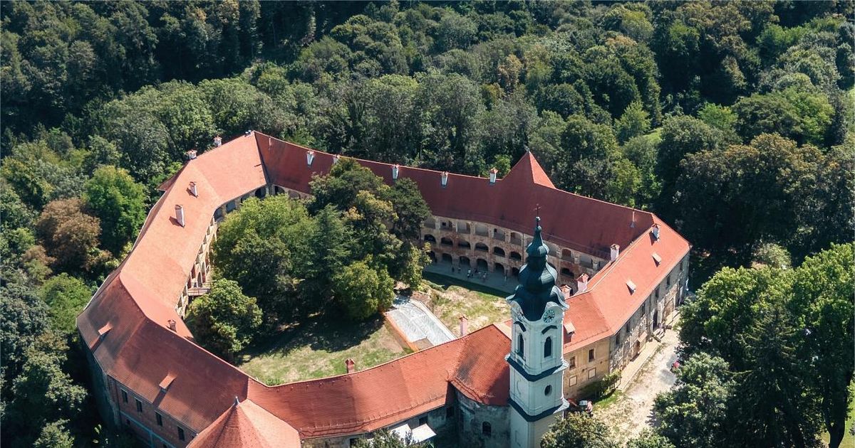 V slovenski grad se je po sedmih letih ponovno naselila žival, ki se je ...