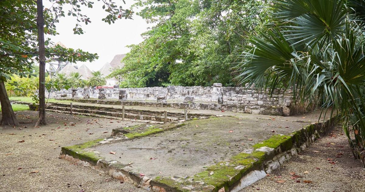 Znanstveniki so se 'igrali' s starodavnimi DNK-ji: kar so odkrili ...