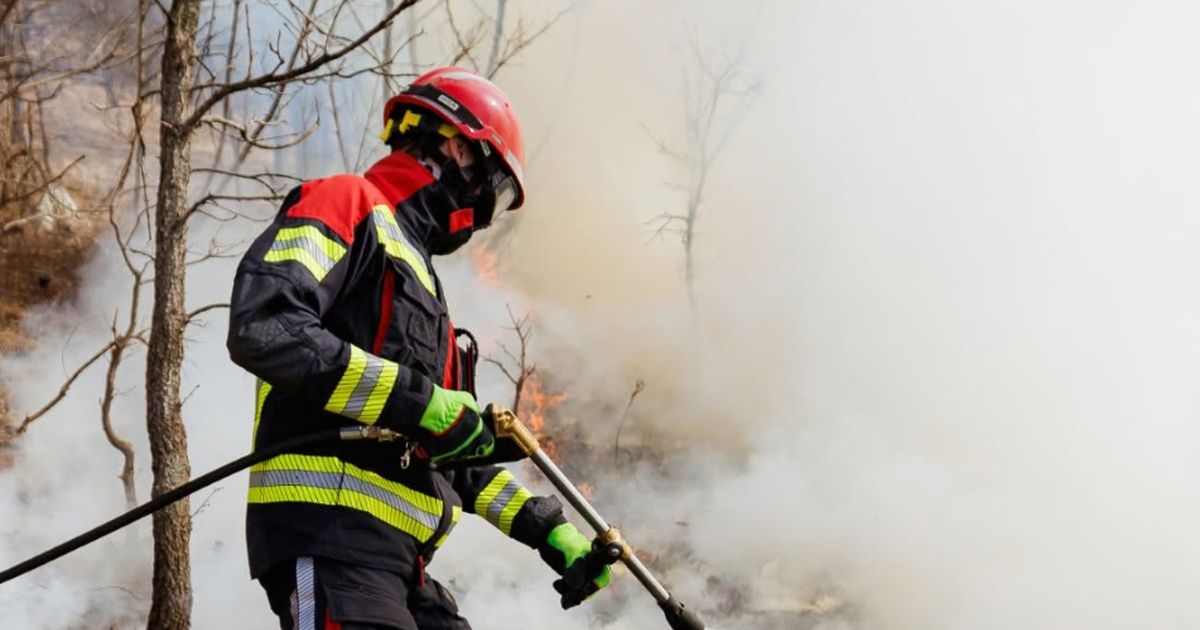 Obsežen gozdni požar pri Ljubljani: ogenj se je približal hišam, več ...