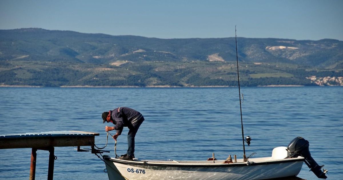 Ribiči na Jadranu na robu obupa: Zdaj celo grozijo, da bodo njihovi ...